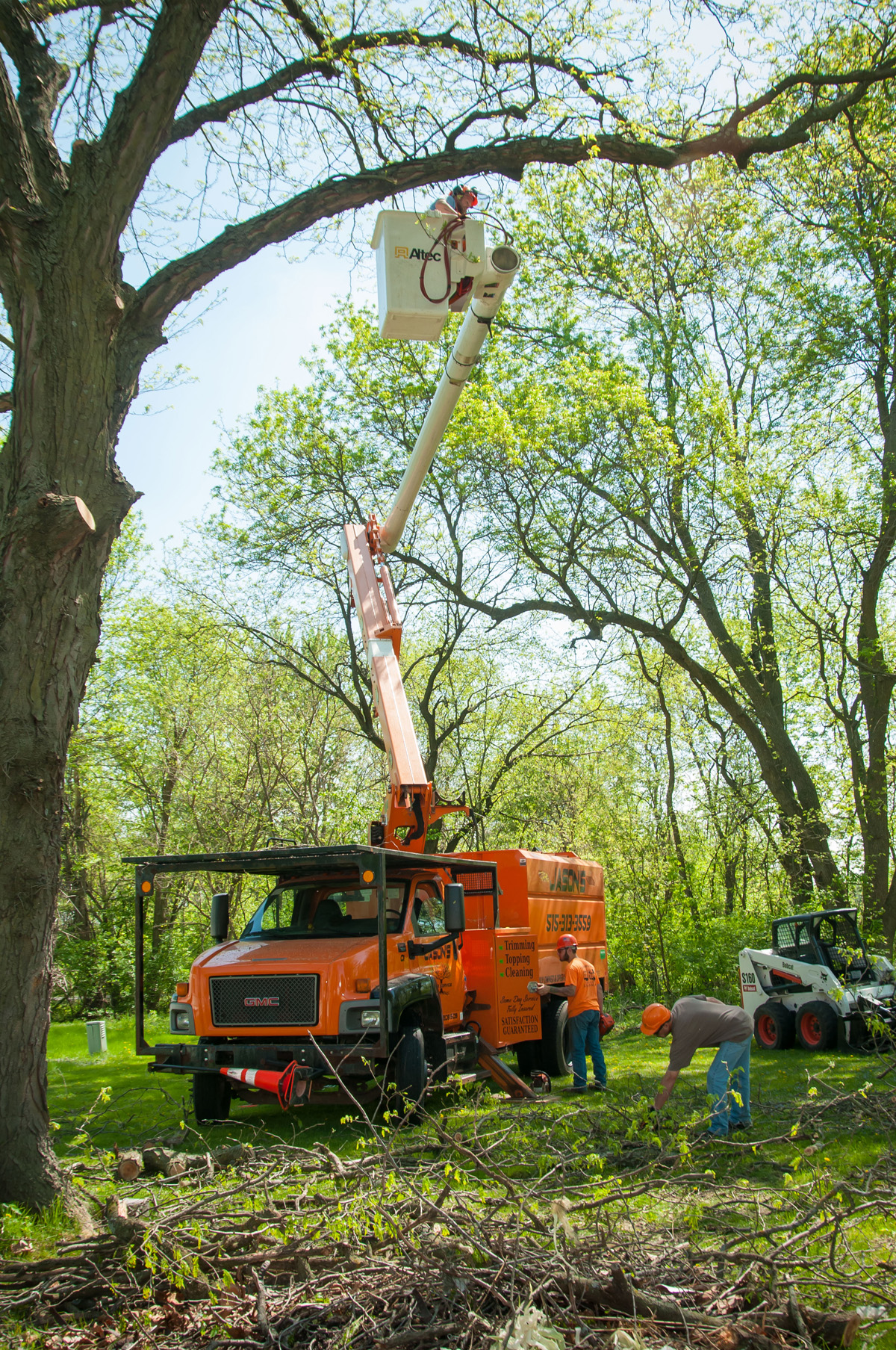 Jason's Tree Service Des Moines | Tree Services Including Trimming and ...