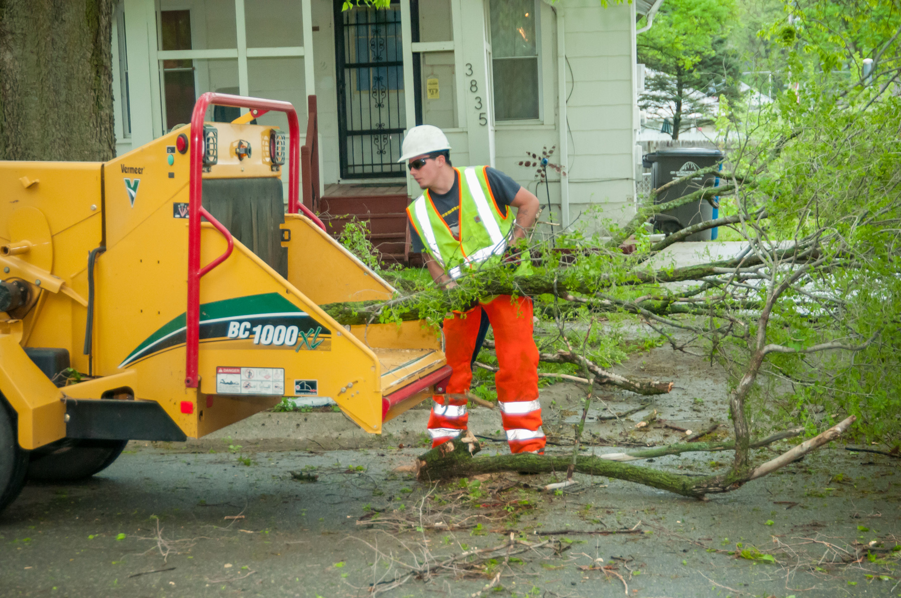 Jason's Tree Service Des Moines | Tree Services Including Trimming and ...
